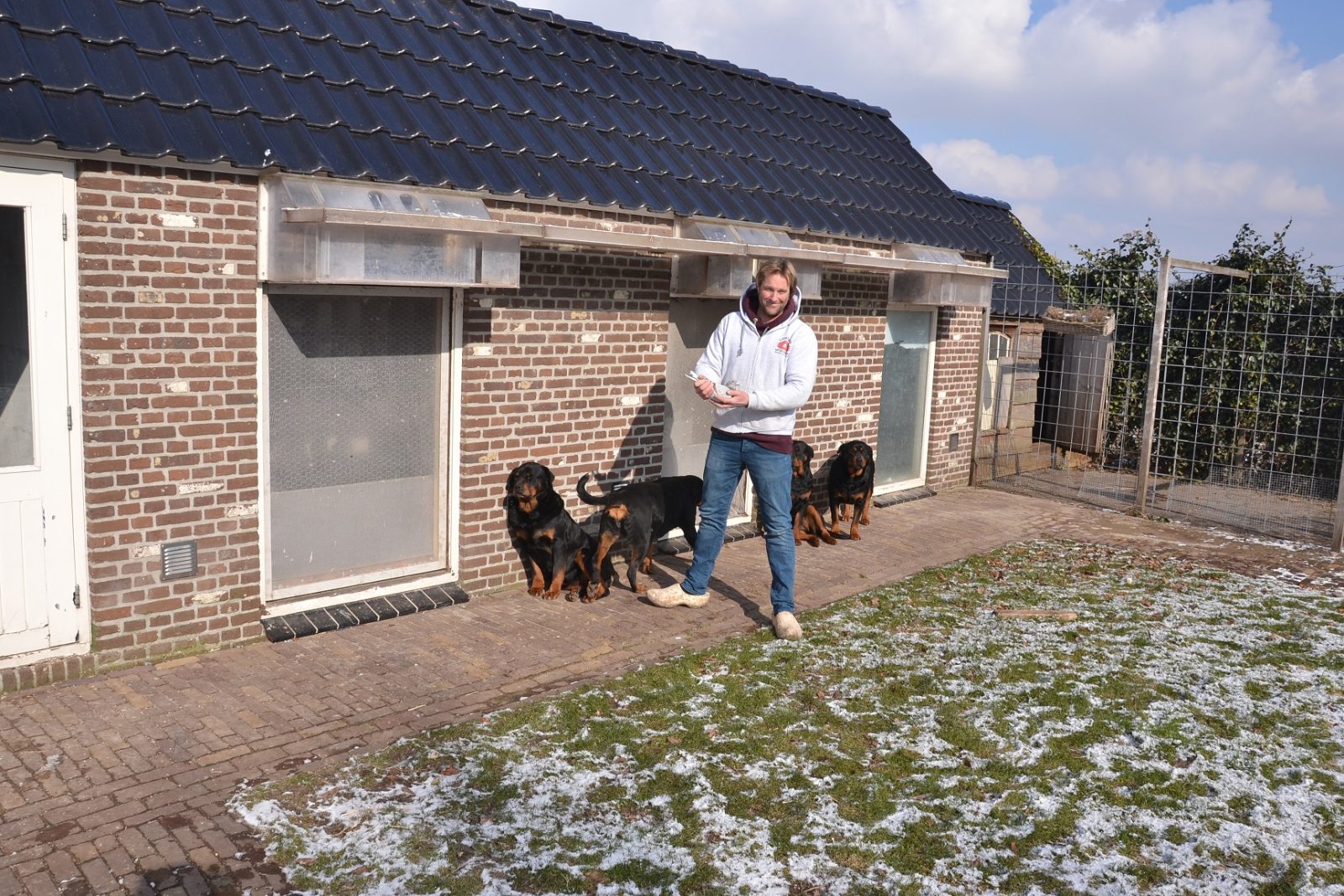 RIEKS LONSAIN - Pigeoncom