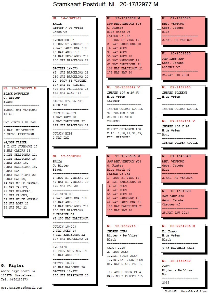 20-1782977 - Pigeoncom