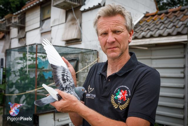 WALTER (P.W.A.) VAN DER MEULEN - Pigeoncom