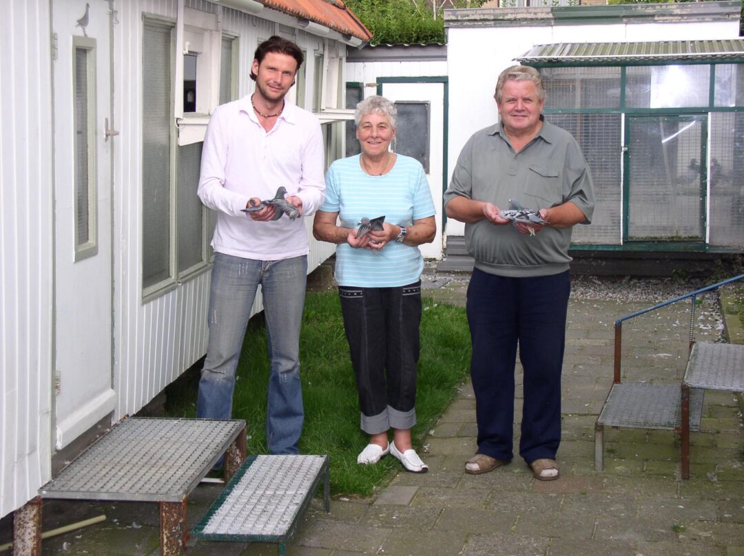 THEO RUTTEN & ZOON - Pigeoncom