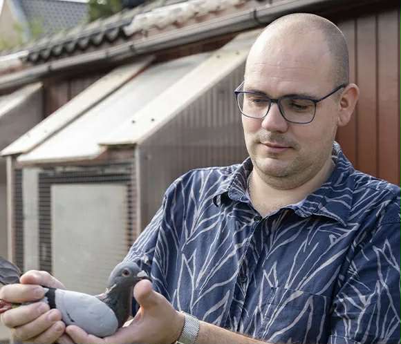 RICHARD VAN DEN BOS - Pigeoncom