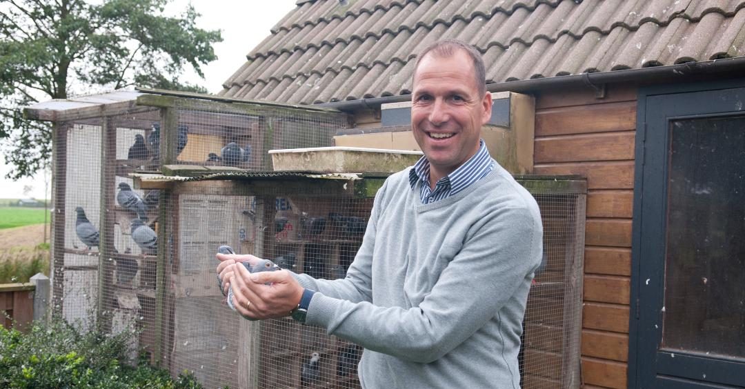 Chris Paauwe - Kruiningen - Pigeoncom